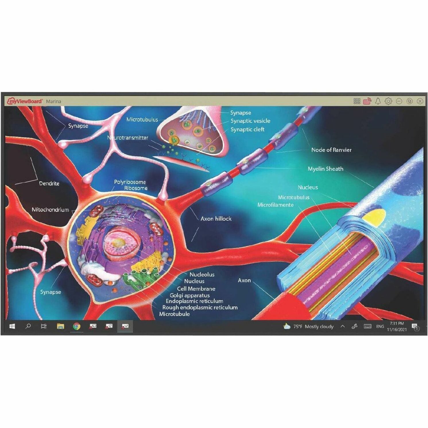 จอวัสดุแสดงผลดิจิทัล ViewSonic CDE6530-MTR – Network Hardwares