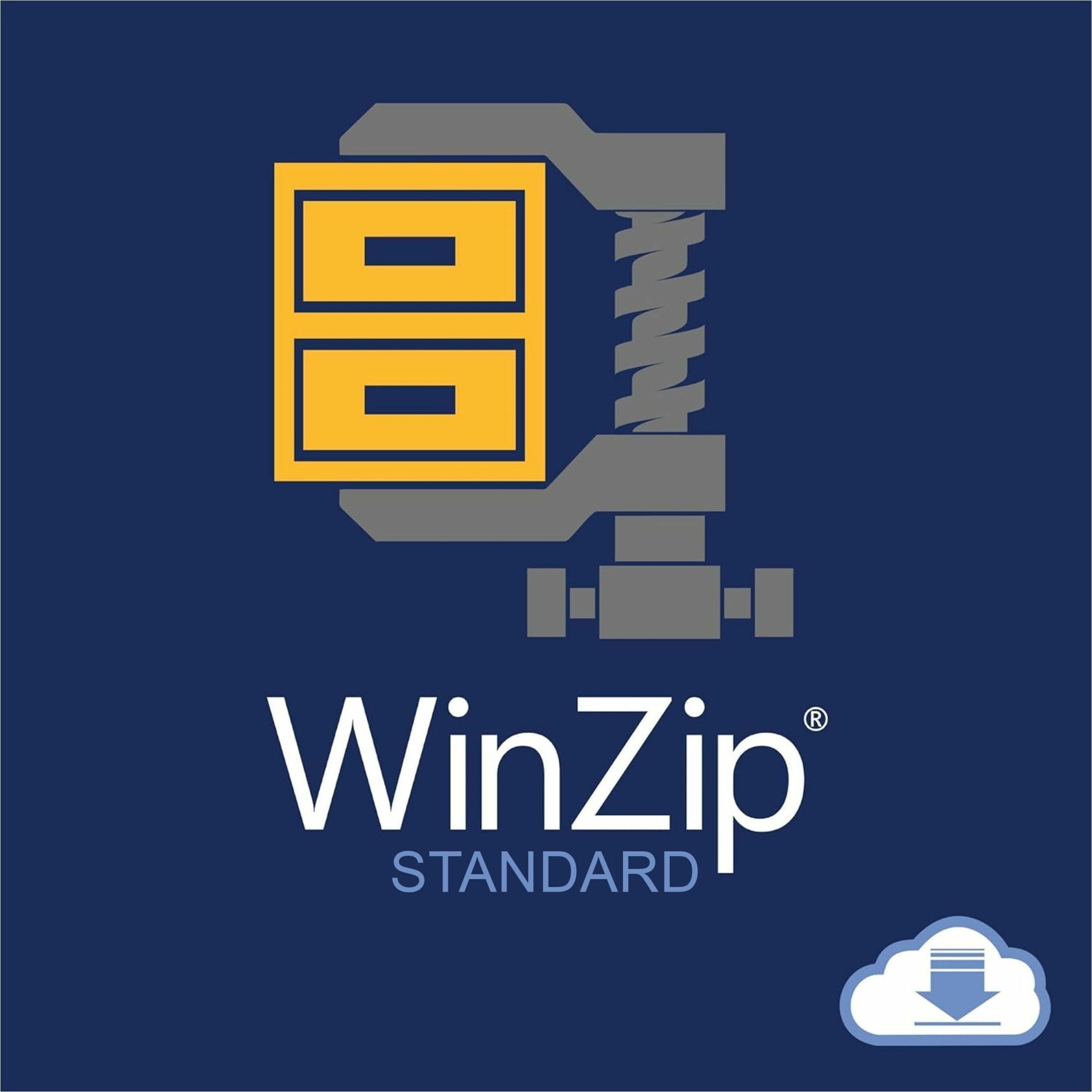 WinZip v. 29 Standard - License - 1 user (ESDWZ29STD) – Network Hardwares