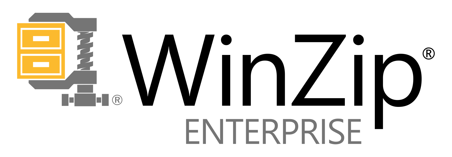 WinZip v. 28 Pro - License - 1 User (ESDWZ28PROML) – Network Hardwares