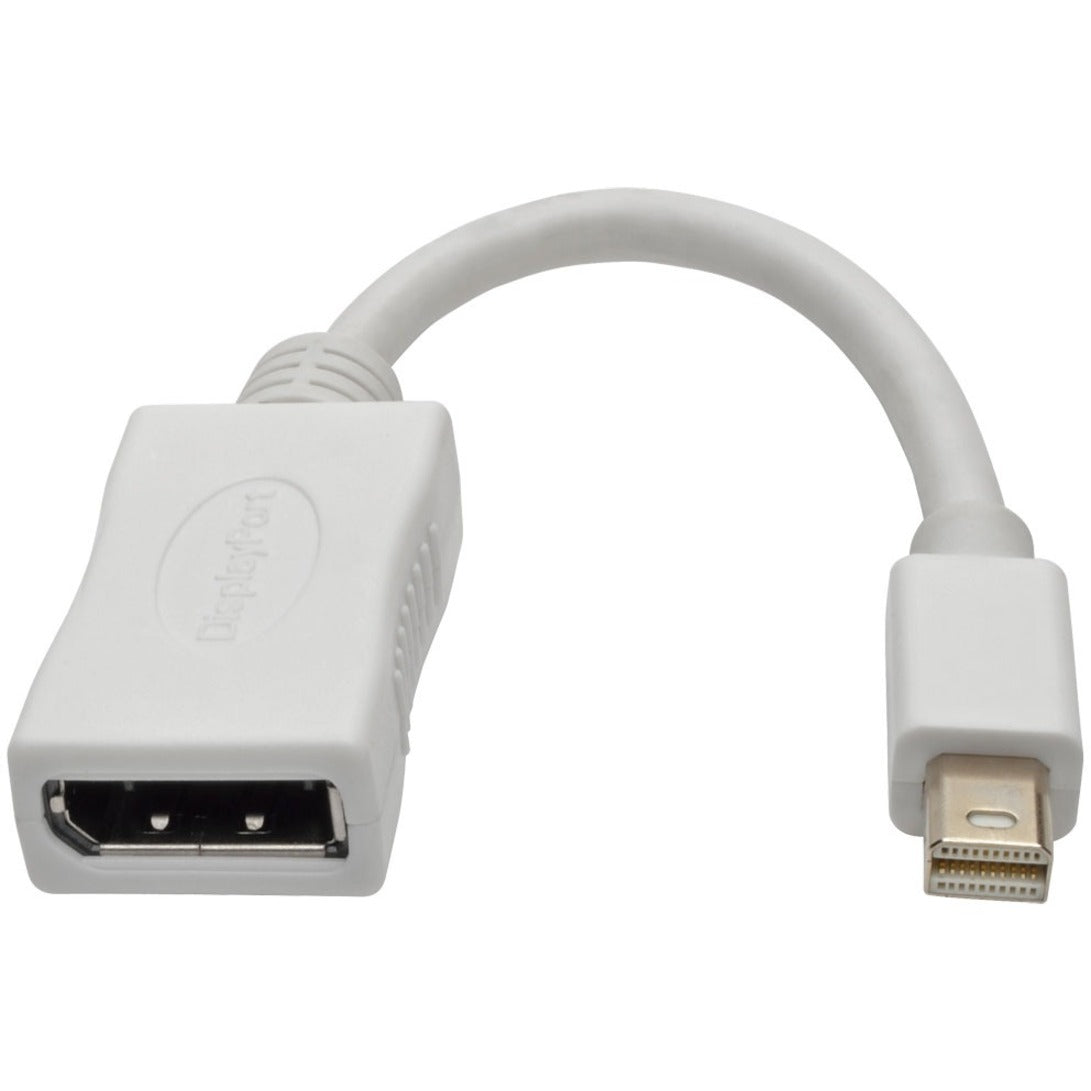 Tripp Lite P139-06N-DP-V2B DisplayPort/Mini DisplayPort A/V Videokabel ...