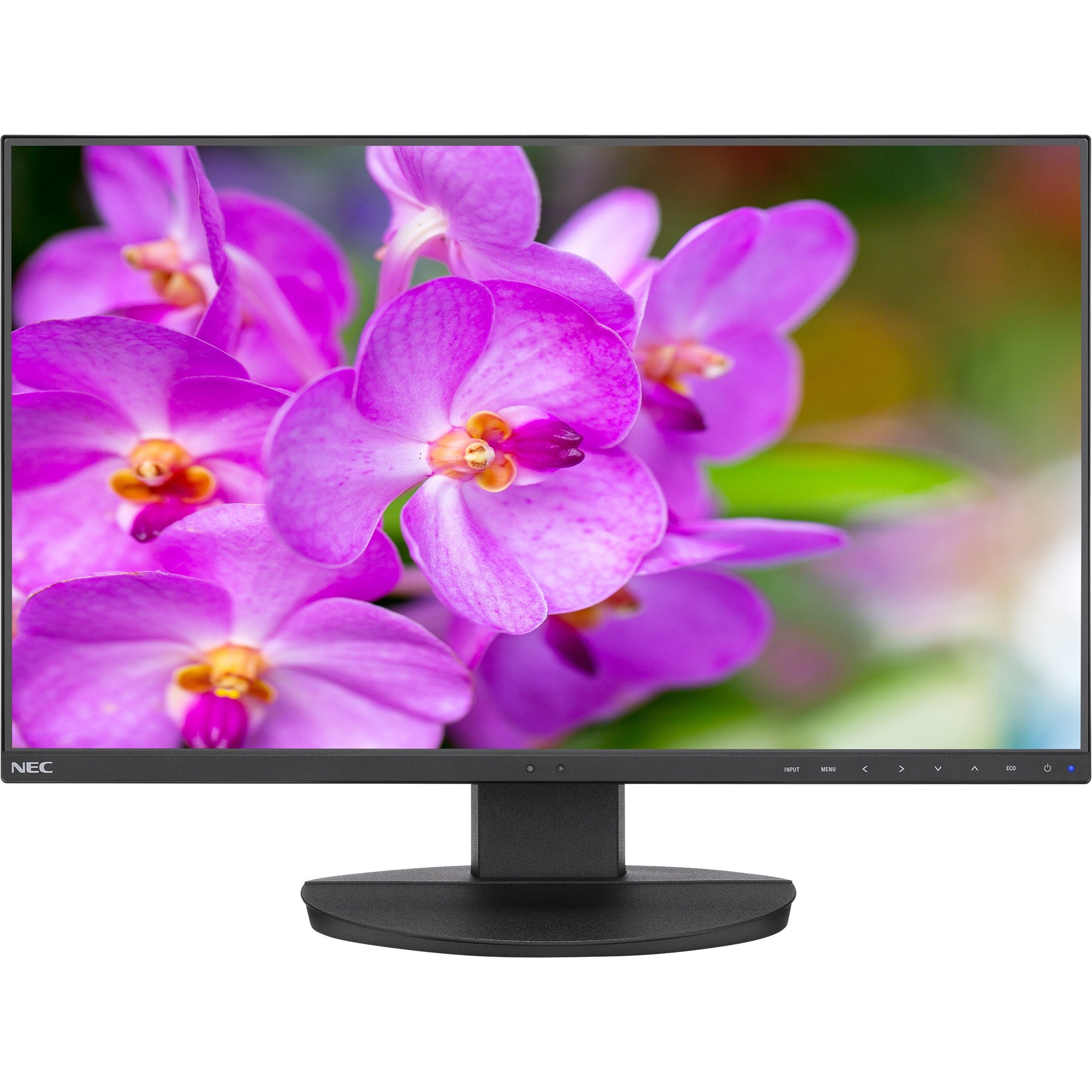 NEC Display EA241F-BK MultiSync 23.8" Full HD LCD Monitor, Ultra-Narro ...