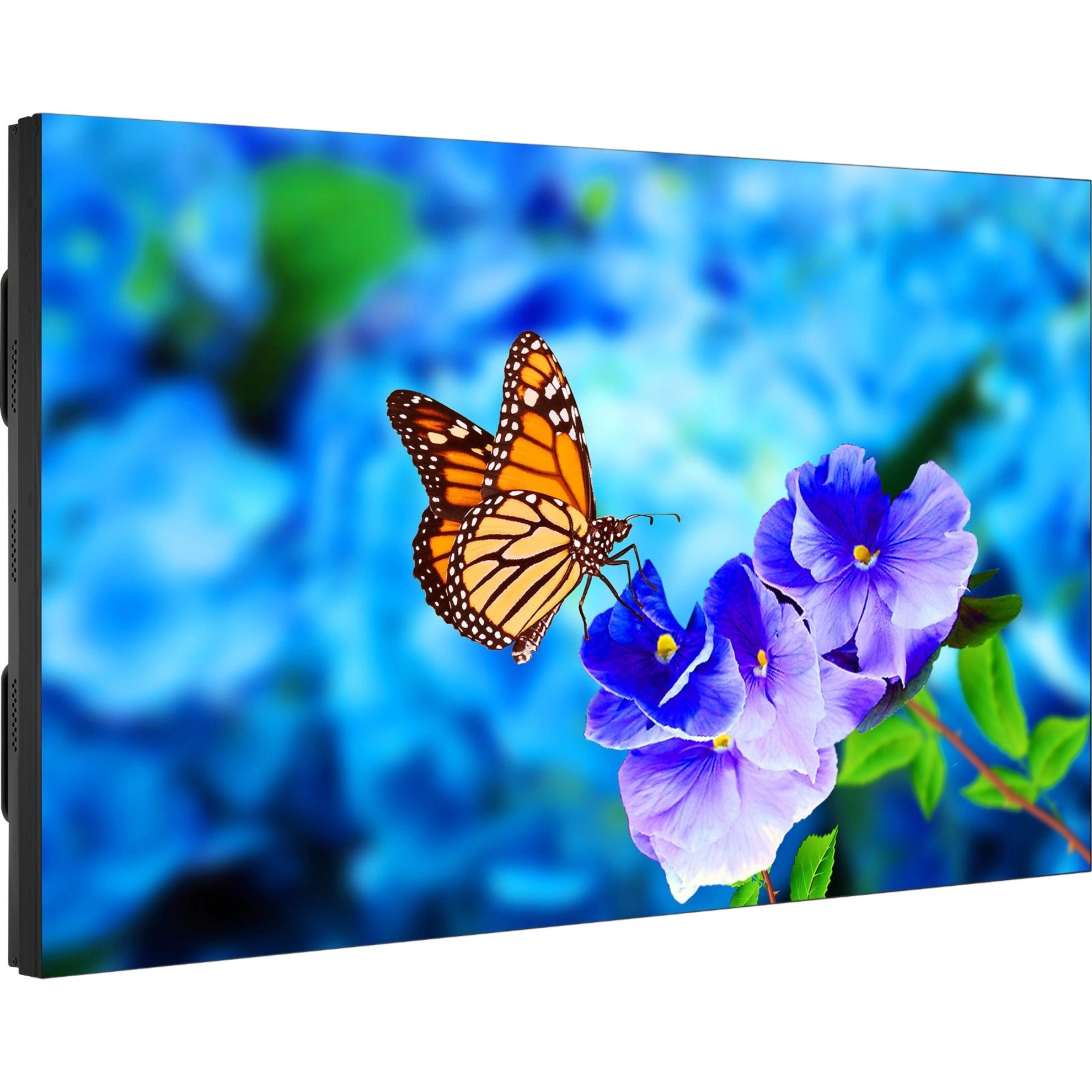NEC Display UN552VS 55" Ultra-Narrow Bezel Professional-Grade Display ...