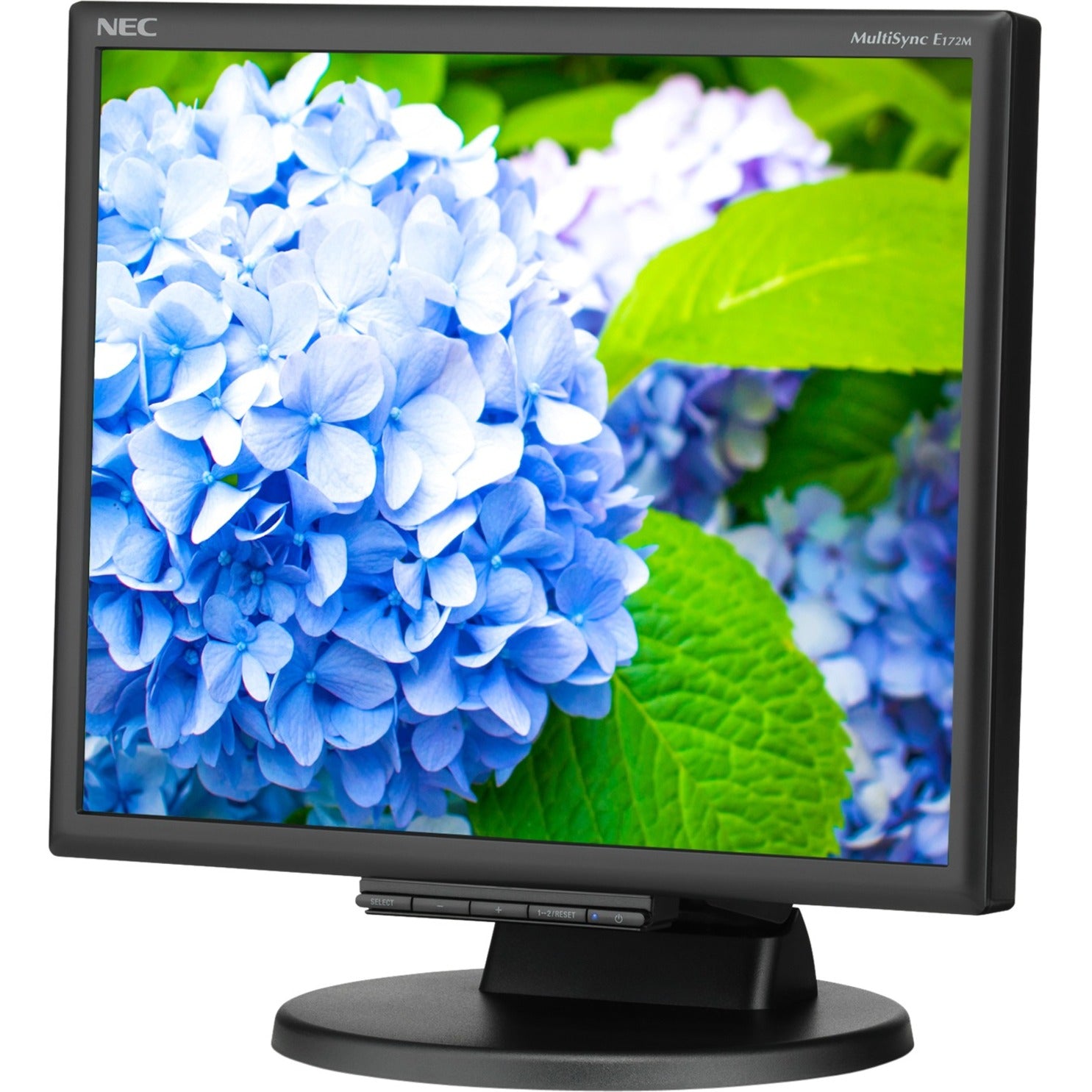 NEC Display E172M-BK 17" Desktop Monitor with LED Backlighting, 5:4 As ...
