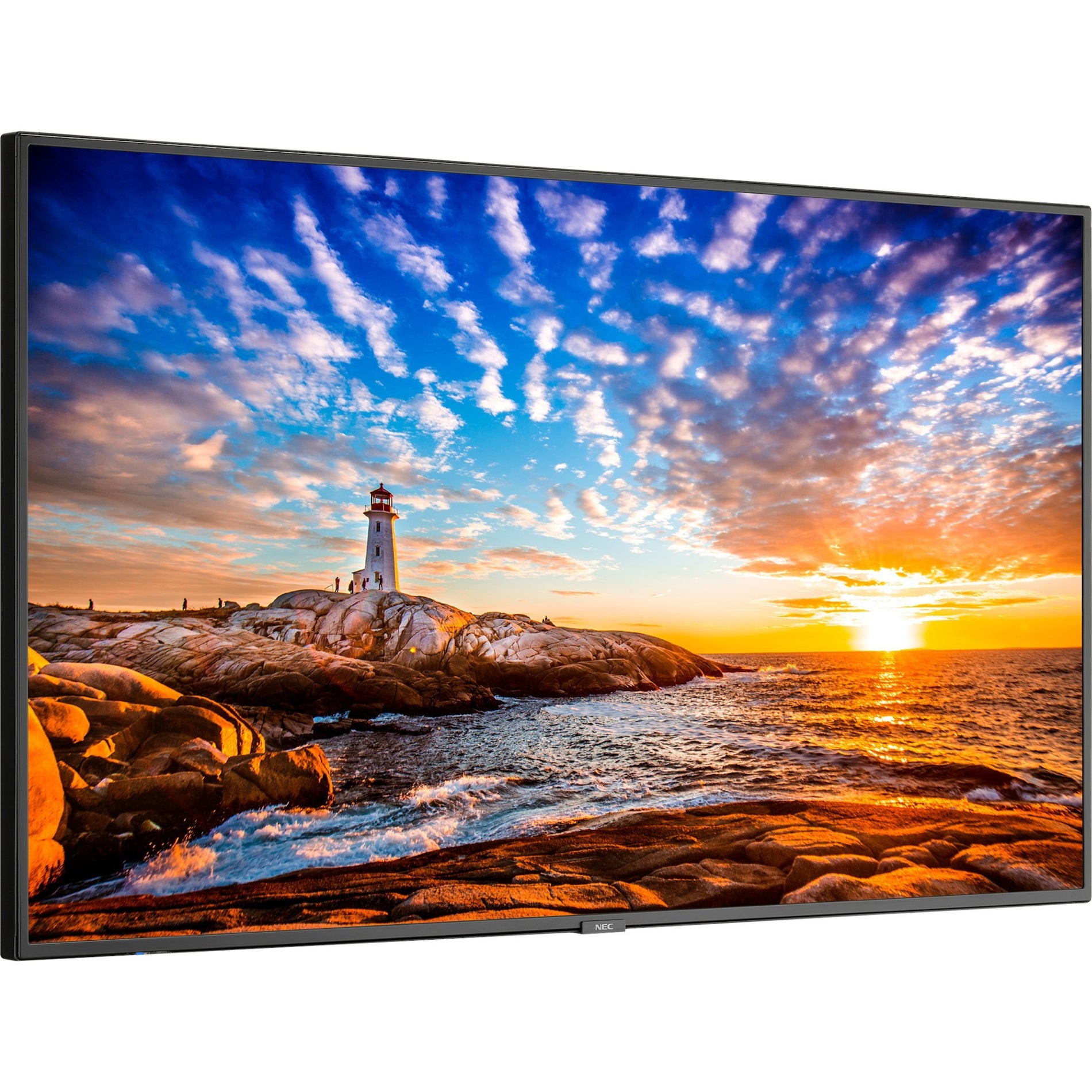 Sharp NEC Display P555 55" Wide Color Gamut Ultra High Definition Prof – Network Hardwares
