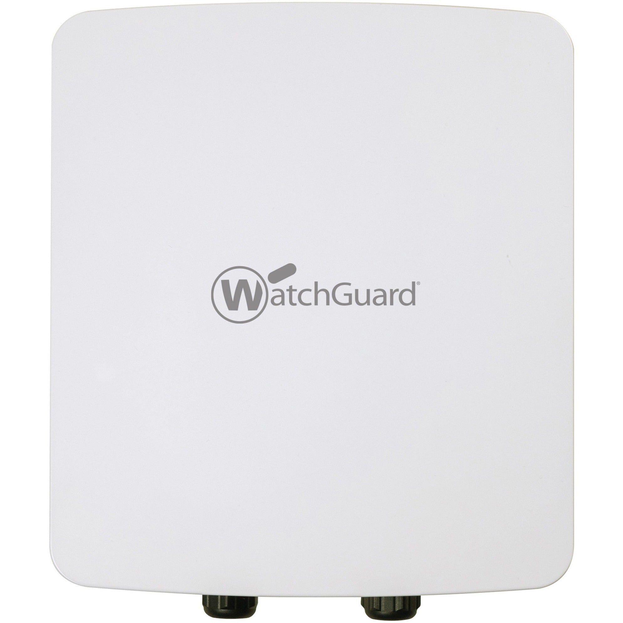 WatchGuard WGA43000000 AP430CR Outdoor Access Point, Dual Band 2.91 Gb ...