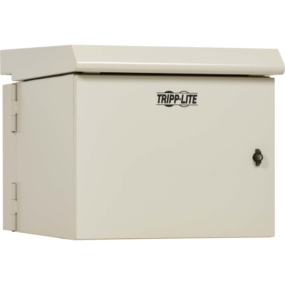 Tripp Lite SRN3RG9USDP SmartRack Rack Mount Enclosure 9U Heavy Duty Gr ...