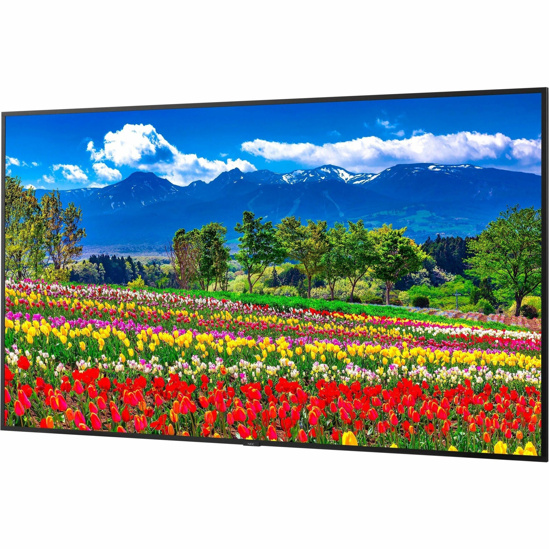 Sharp NEC Display M751 75" Ultra High Definition Professional Display, – Network Hardwares