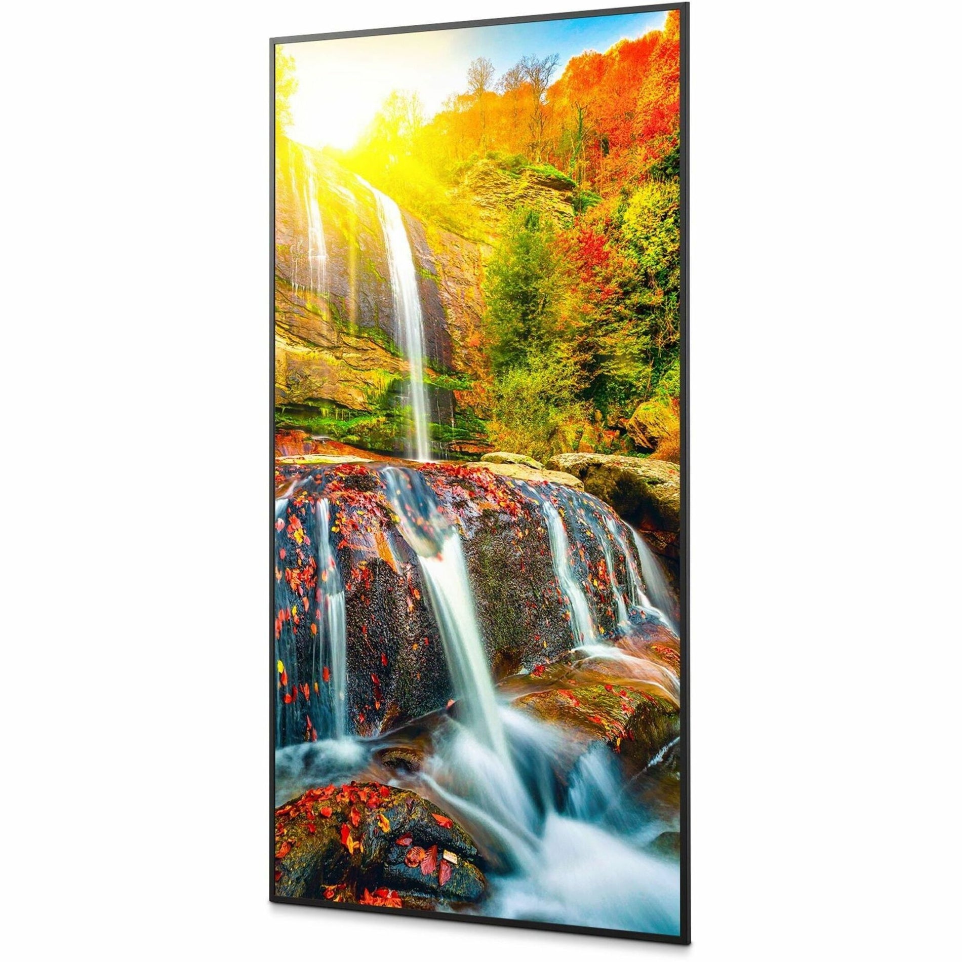 Sharp ME Series 43" Commercial Digital Signage Display, 4K UHD, ADS Te ...