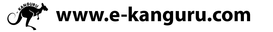 Kanguru U3-DVDRW-SL-4 DVD-Writer External, TAA Compliant – Network ...